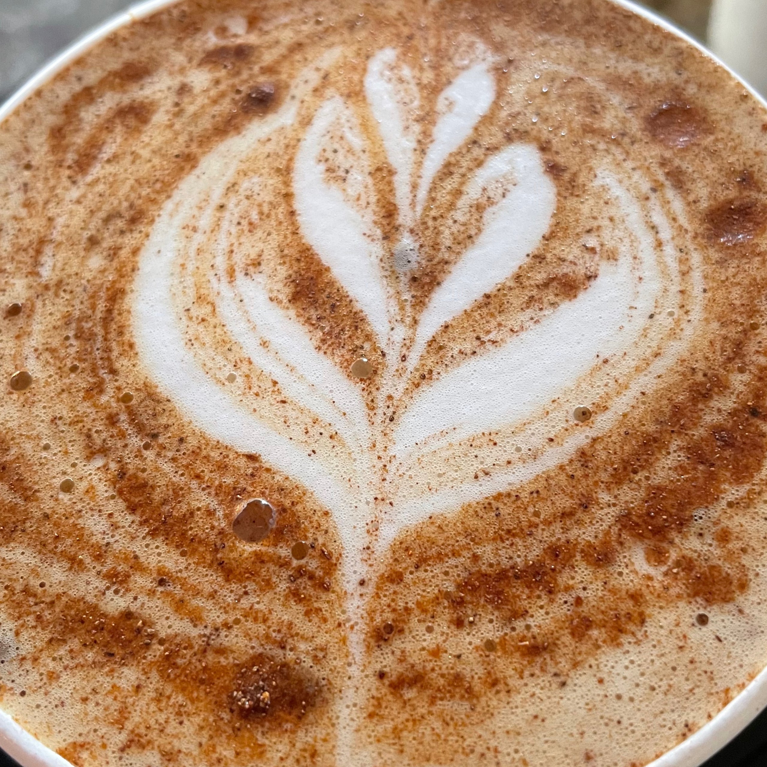 FALL SPICE LATTE | Barrelista
